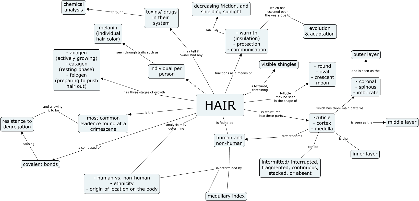 Hair Structure and Function cMap
